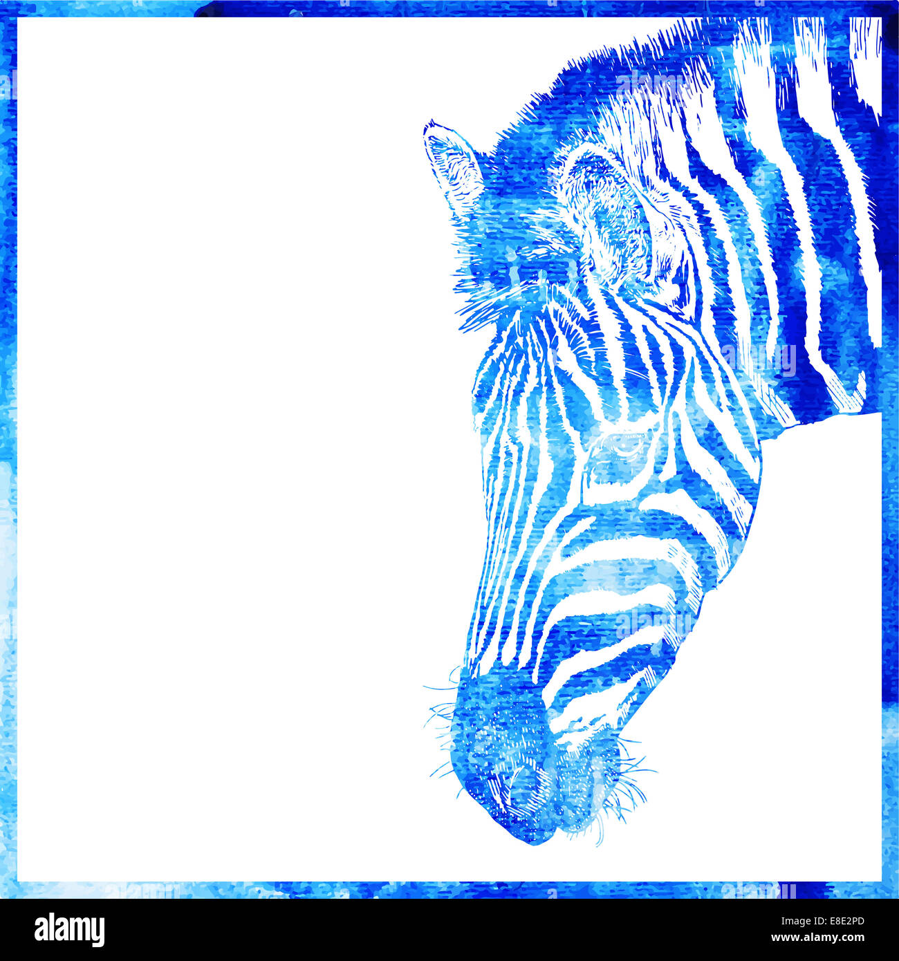 watercolor animal background in a blue color, head of zebra, vec Stock ...