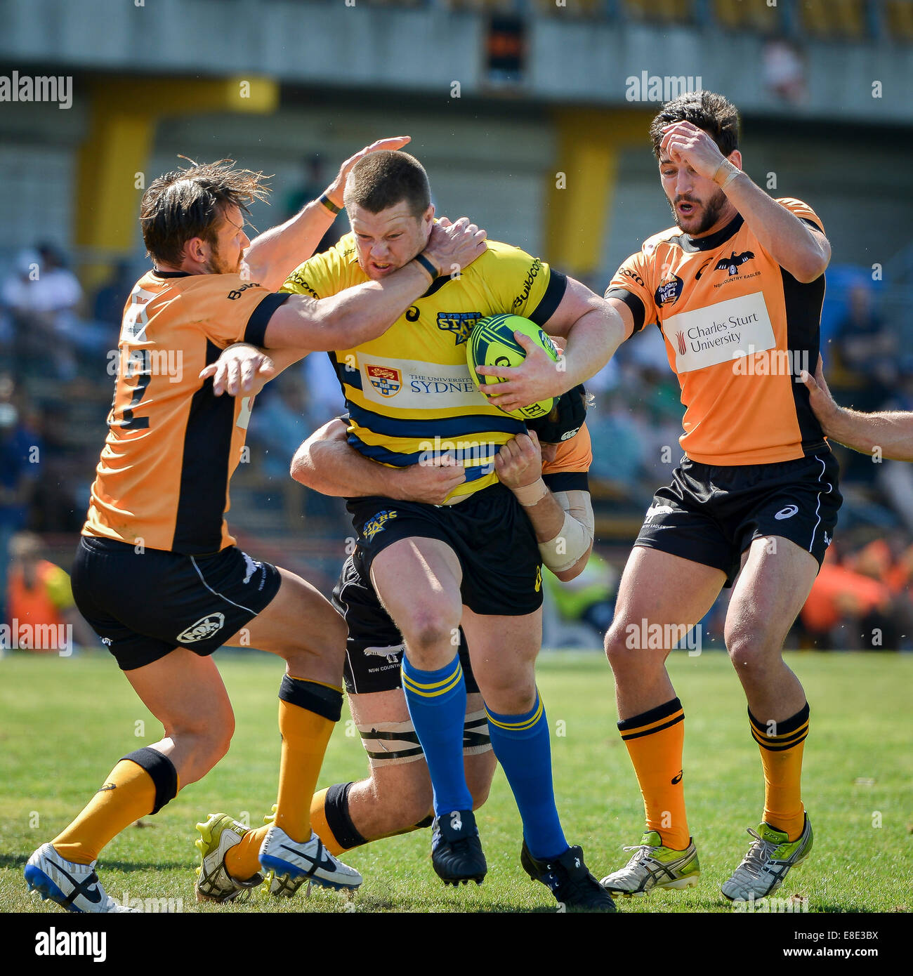 Sydney, Australia. 06th Oct, 2014. Sydney Stars Paddy Ryan is bought ...