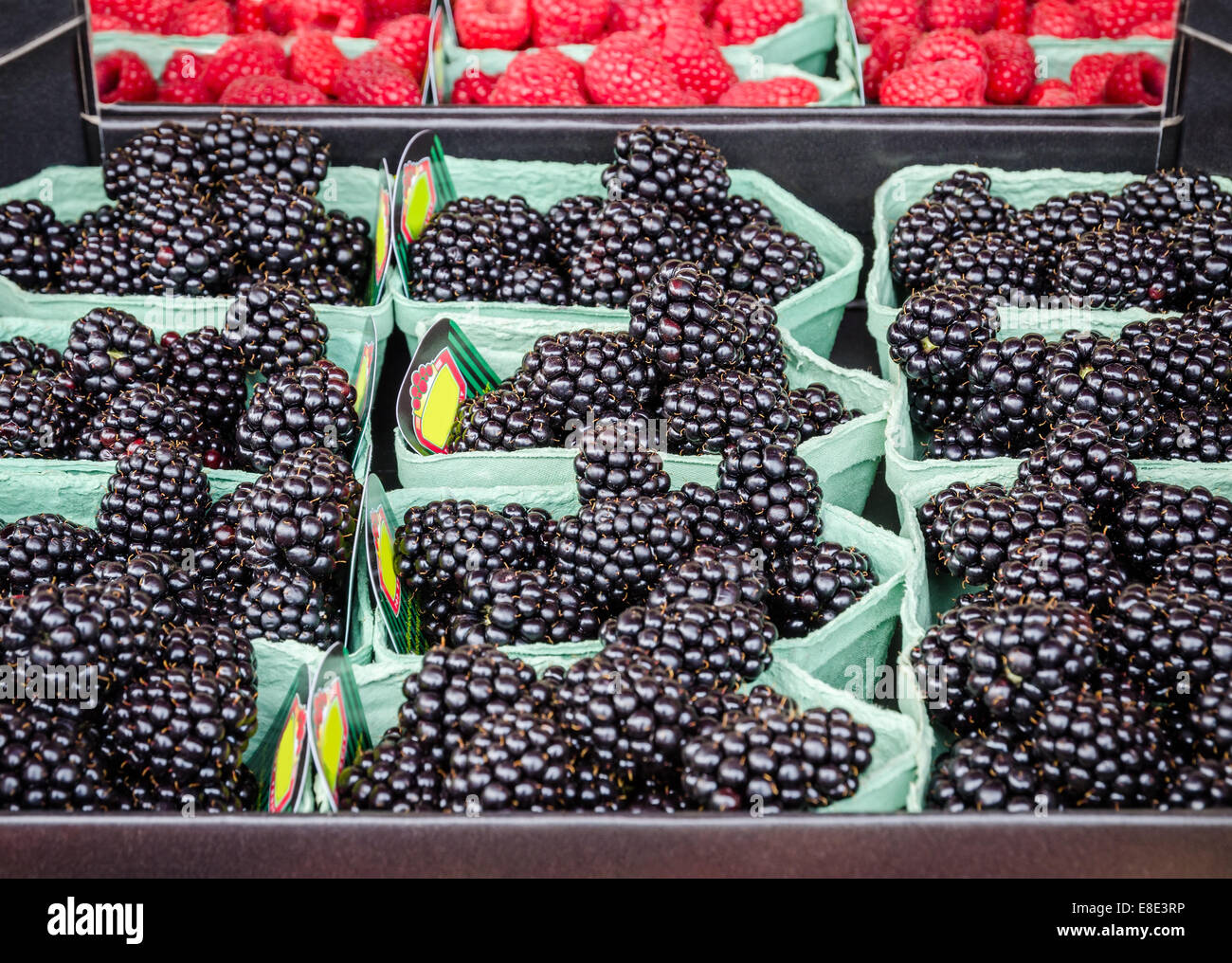 Fresh clean assorted blackberries for sale at a local farm market Stock ...