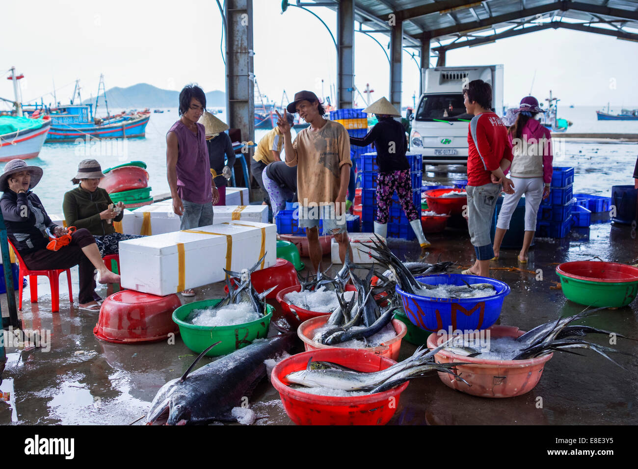 Women sorting fish hi-res stock photography and images - Alamy