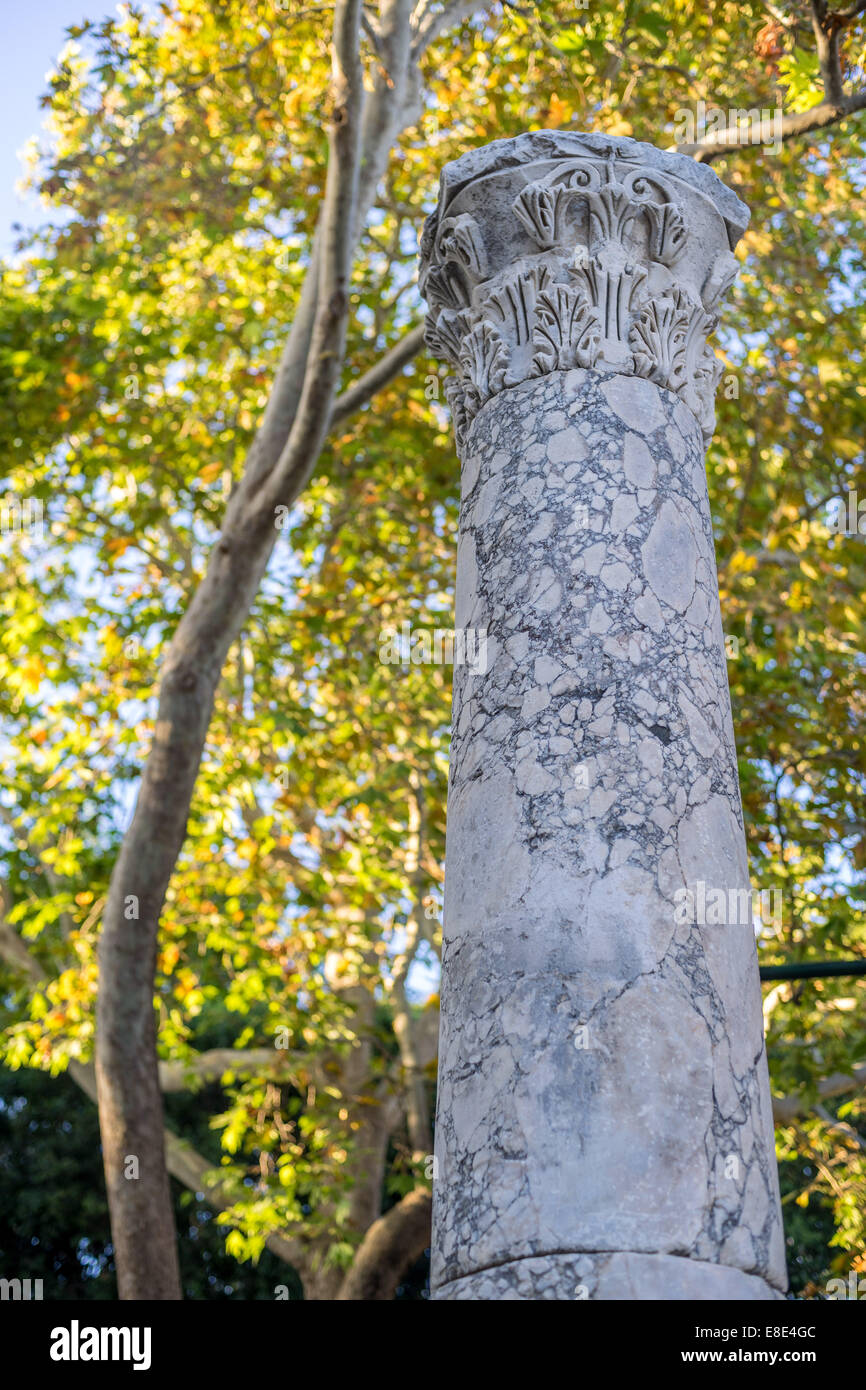 The Tree of Hippocrates Kos Stock Photo - Alamy