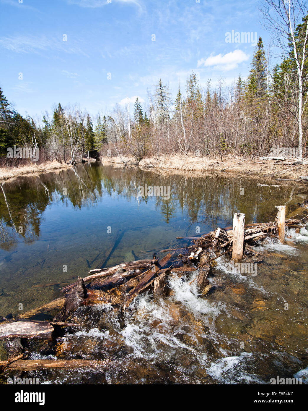 Beaver creek reservoir hi-res stock photography and images - Alamy