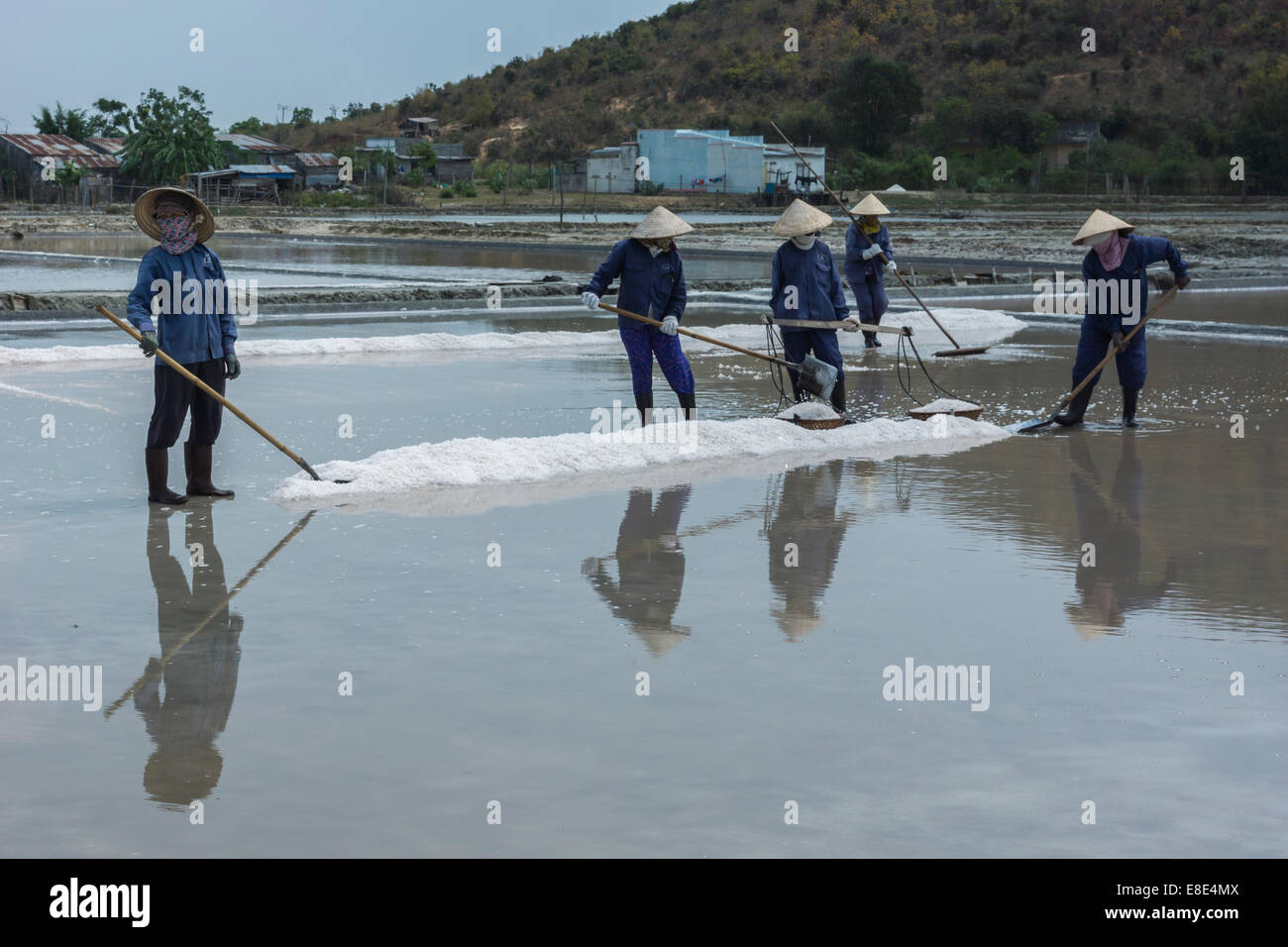 A crew rakes and scoops freshly harvested salt out of the pool Stock ...
