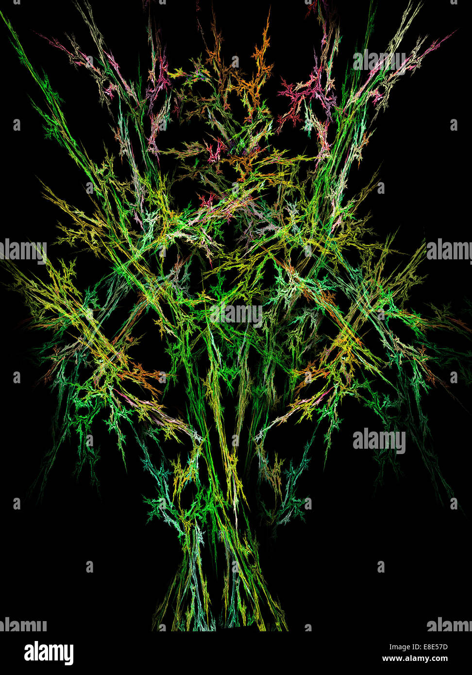 Barbed plant hi-res stock photography and images - Alamy