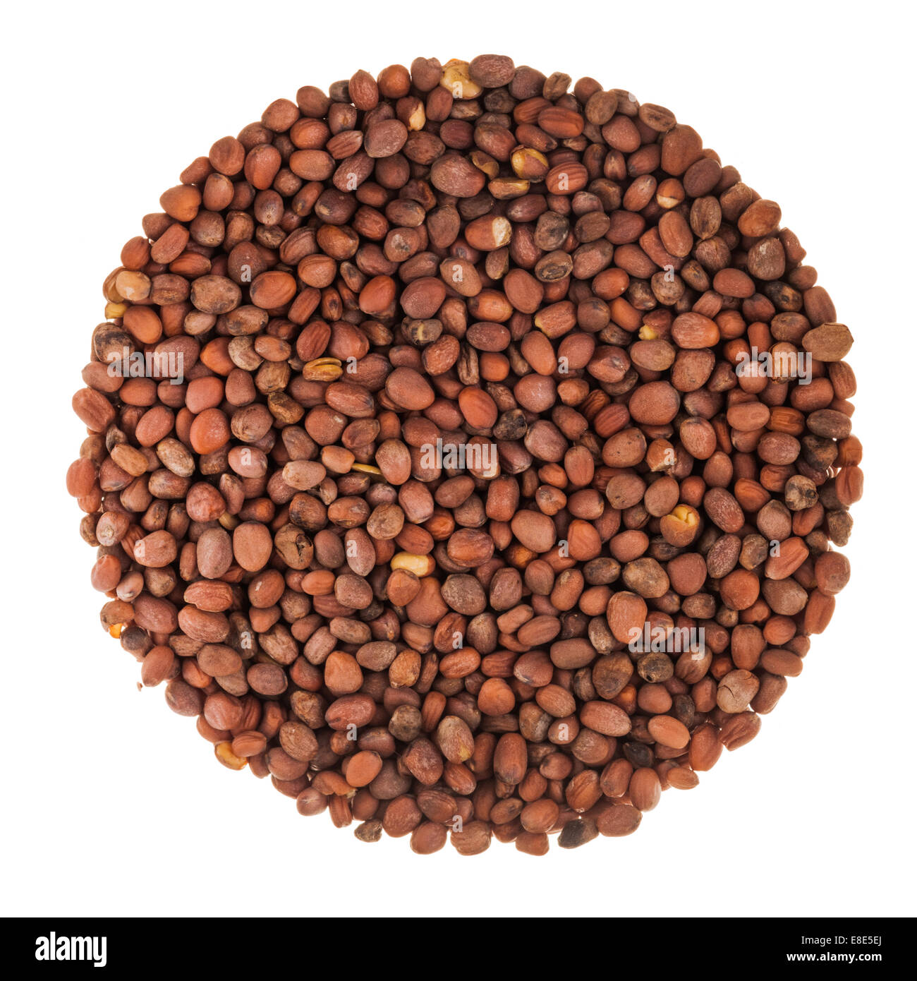 Seeds texture hi-res stock photography and images - Alamy