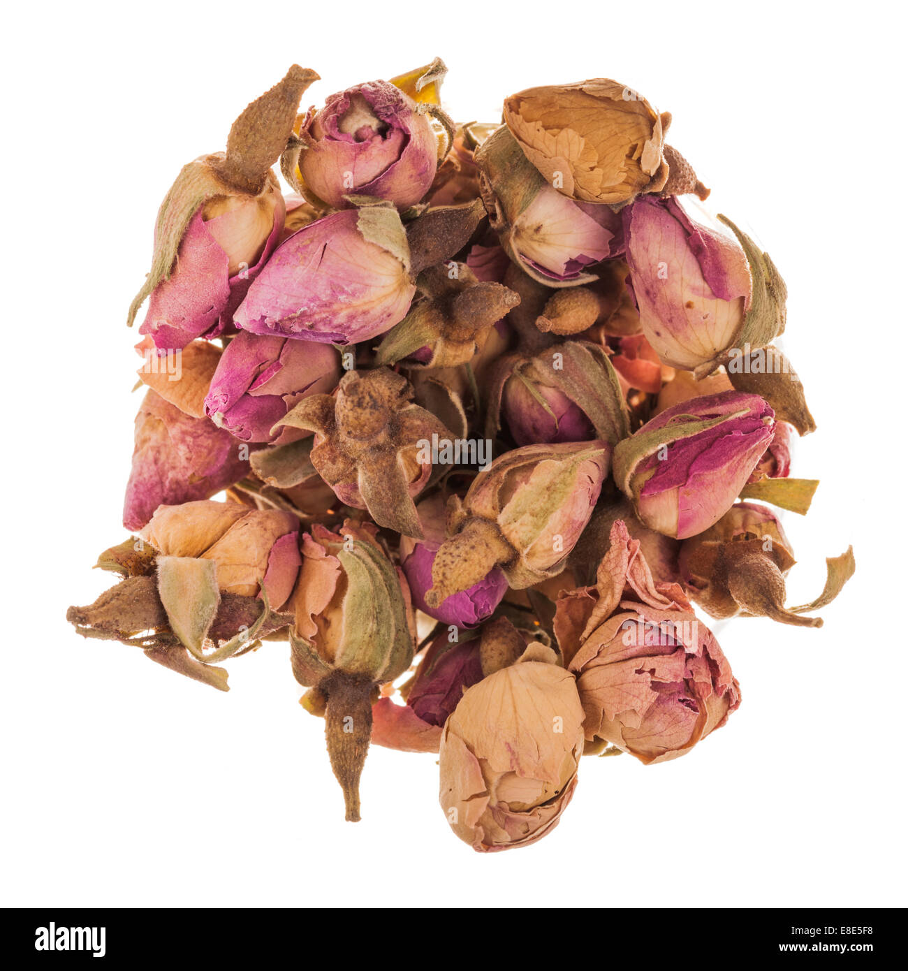 Roses Tea Bud Isolated on White Background in circle Stock Photo - Alamy