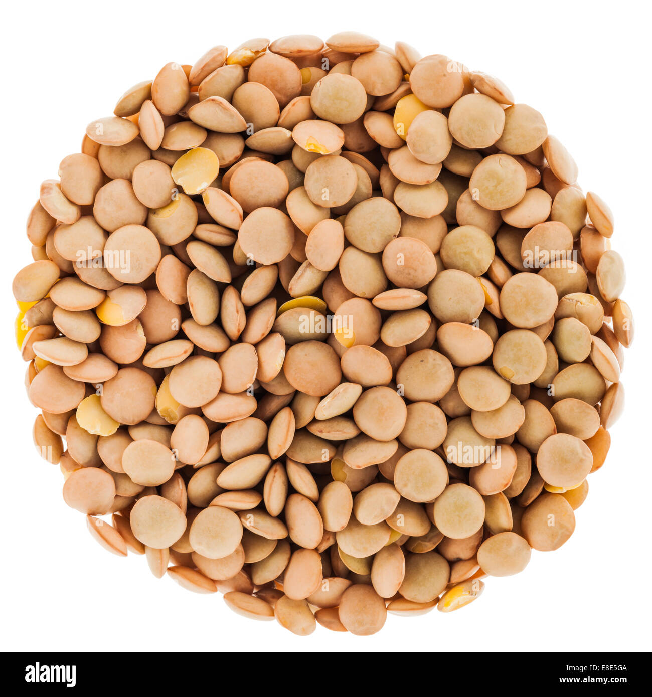 Perfect Circle of Lentils Isolated on White Background Stock Photo - Alamy