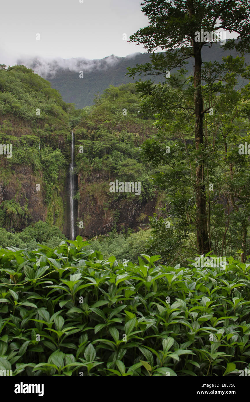 Rainfall mountain stream runoff hi-res stock photography and images - Alamy