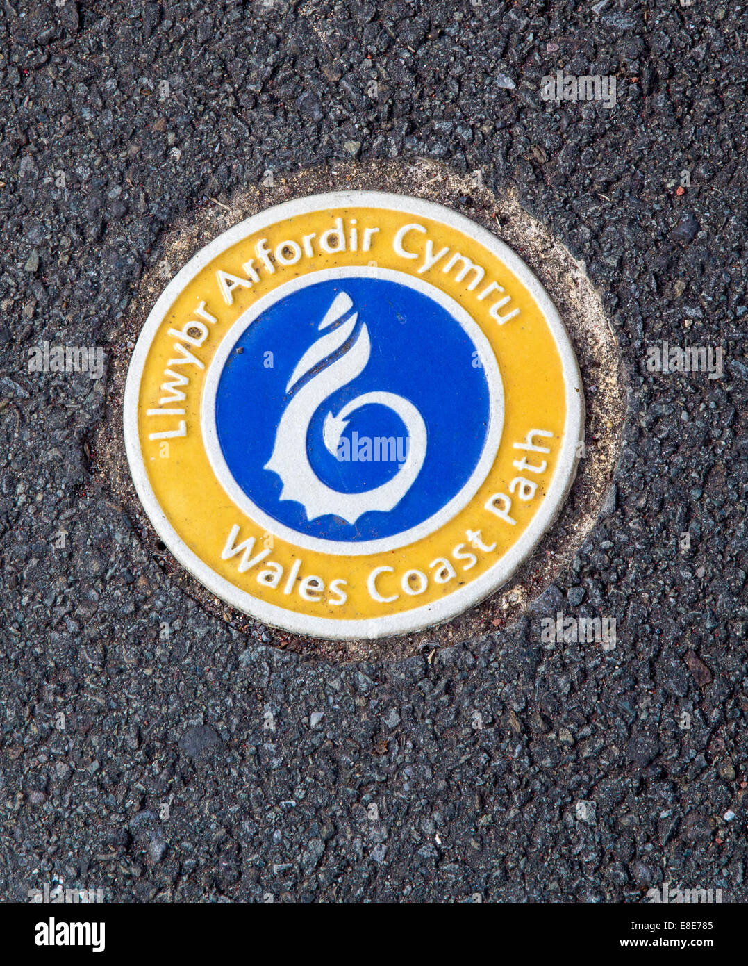 Symbol of wales hi-res stock photography and images - Alamy