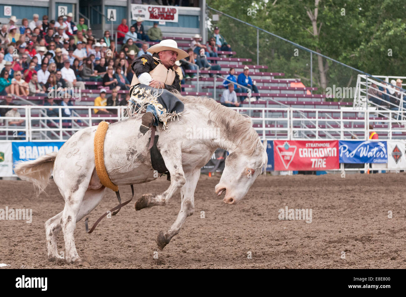 Bareback Men High Resolution Stock Photography and Images - Alamy