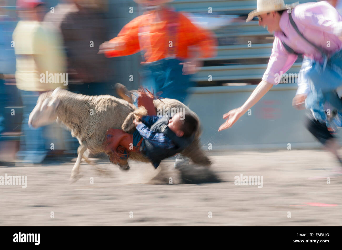 Mutton busting event, children riding sheep, First Nations, T'suu Tina ...