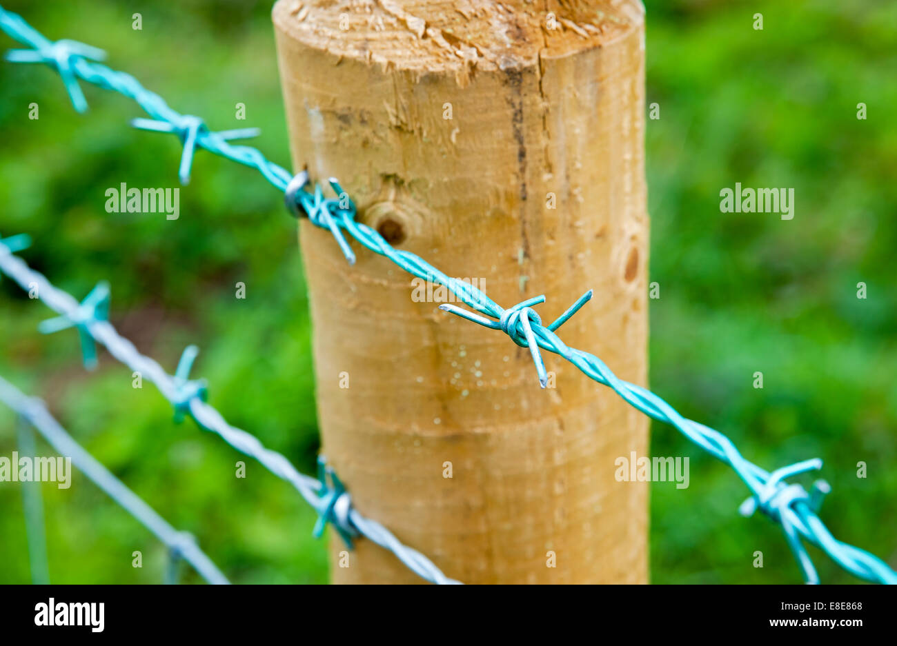 Close up of barbed wire fencing on a wooden fence post Stock Photo - Alamy