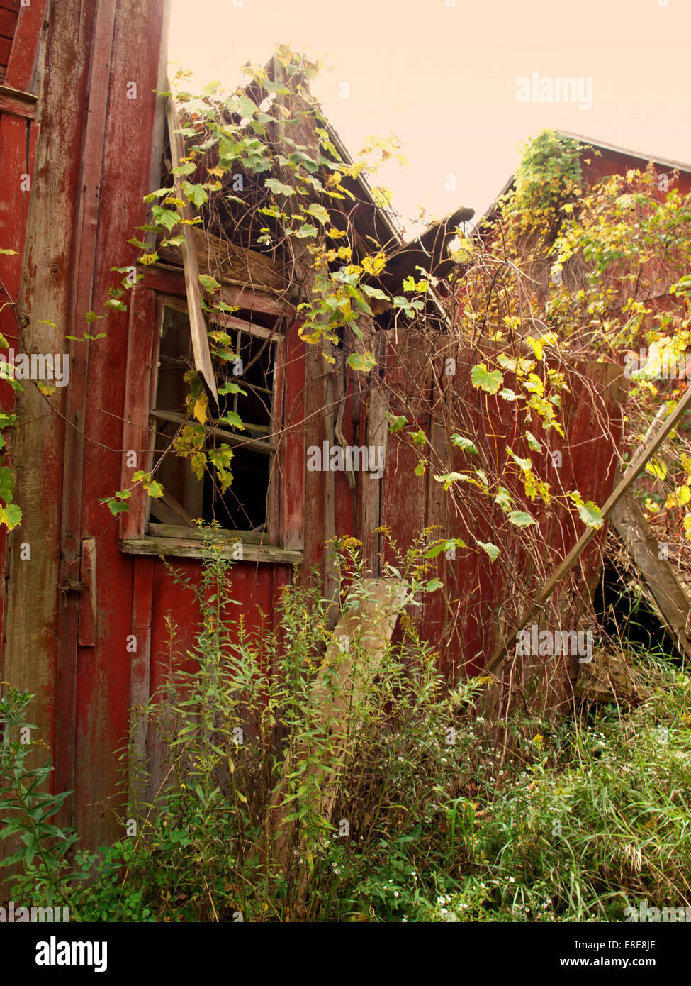 Old barn ruins hi-res stock photography and images - Alamy
