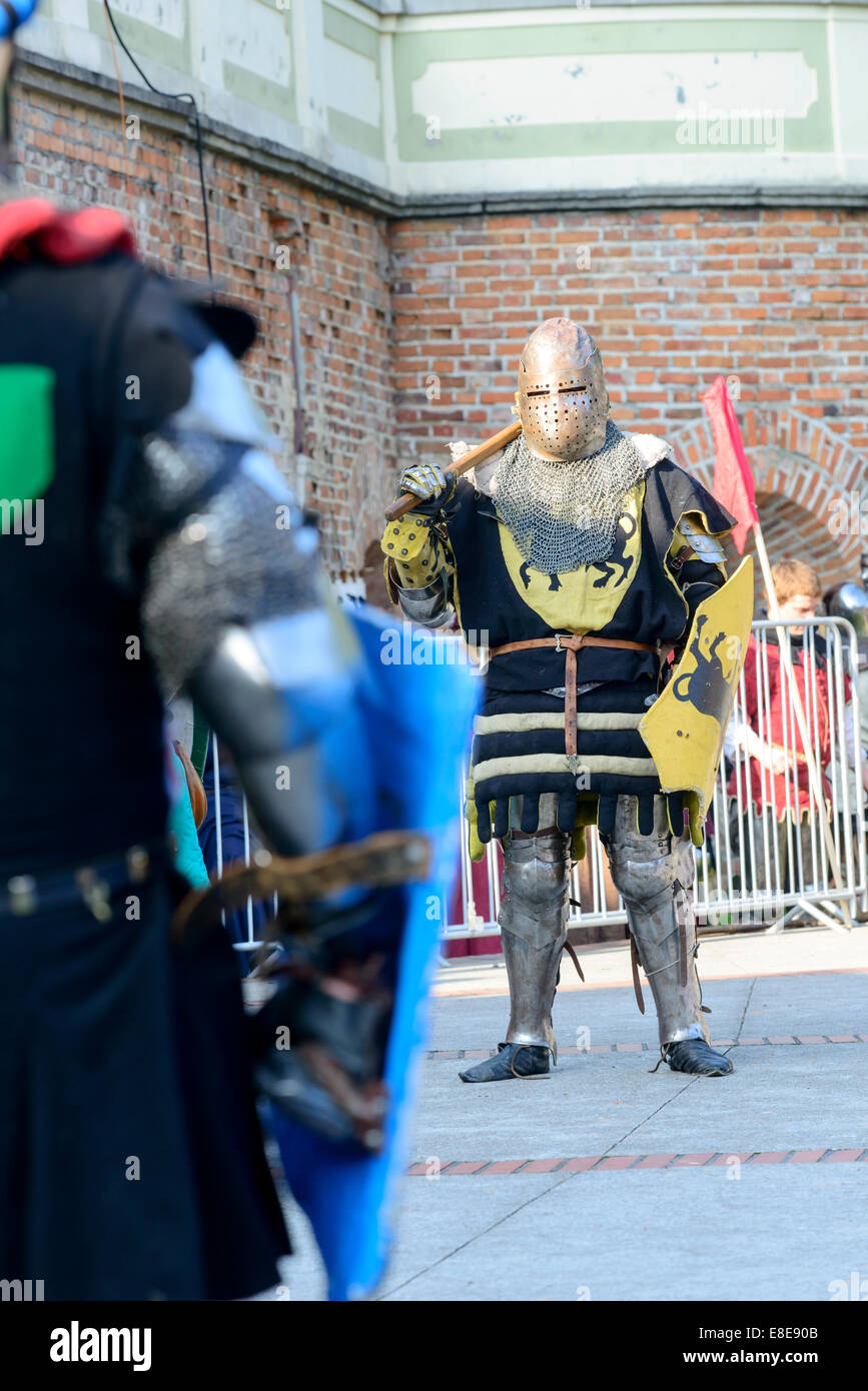 Enthusiasts of the old knights show their costumes and skills in a duel ...