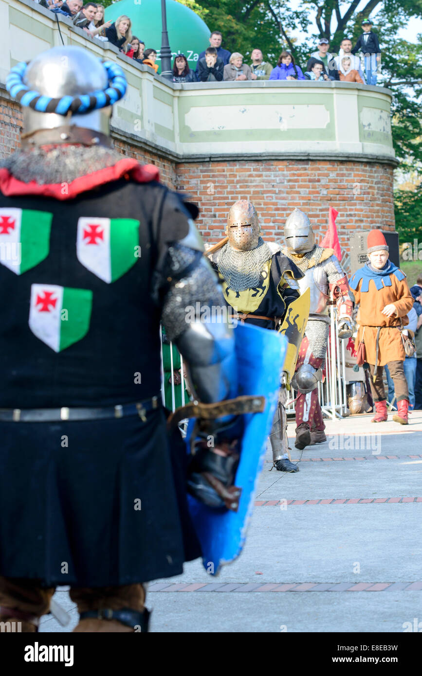 Enthusiasts of the old knights show their costumes and skills in a duel ...
