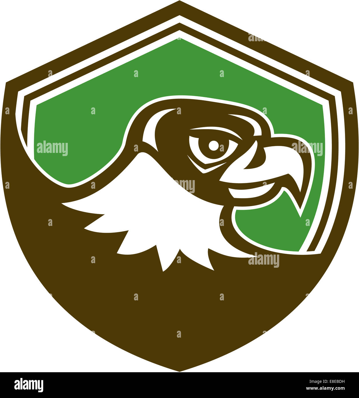 Illustration of a falcon hawk eagle bird head looking to side set ...