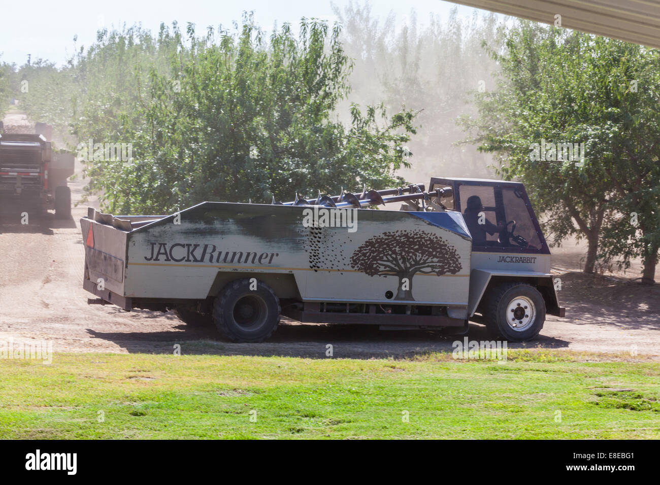 An Almond harvester that picks up almonds off the ground in Modesto ...