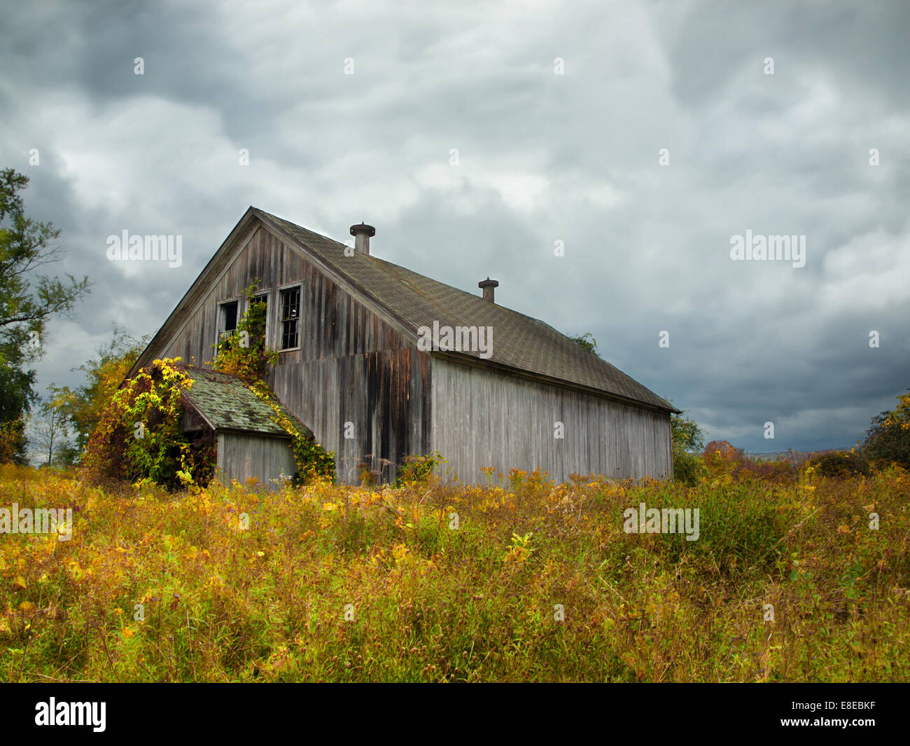 old time warn and weathered abandoned gray barn in autumn Stock Photo ...