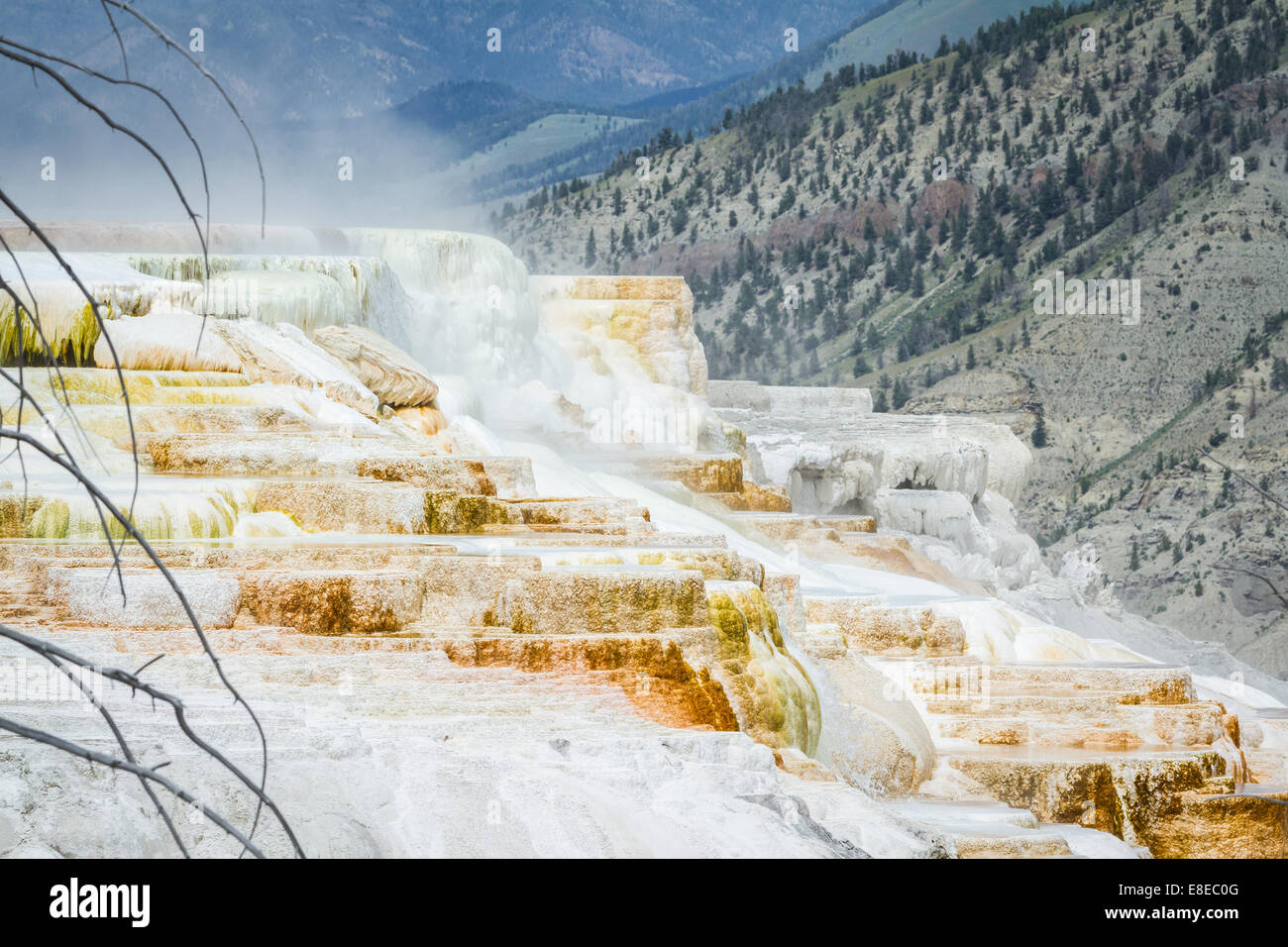 hot springs in yellowstone national park. rich mineral water leaving ...