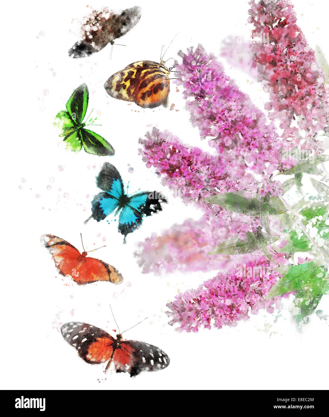 Watercolor bush hi-res stock photography and images - Alamy
