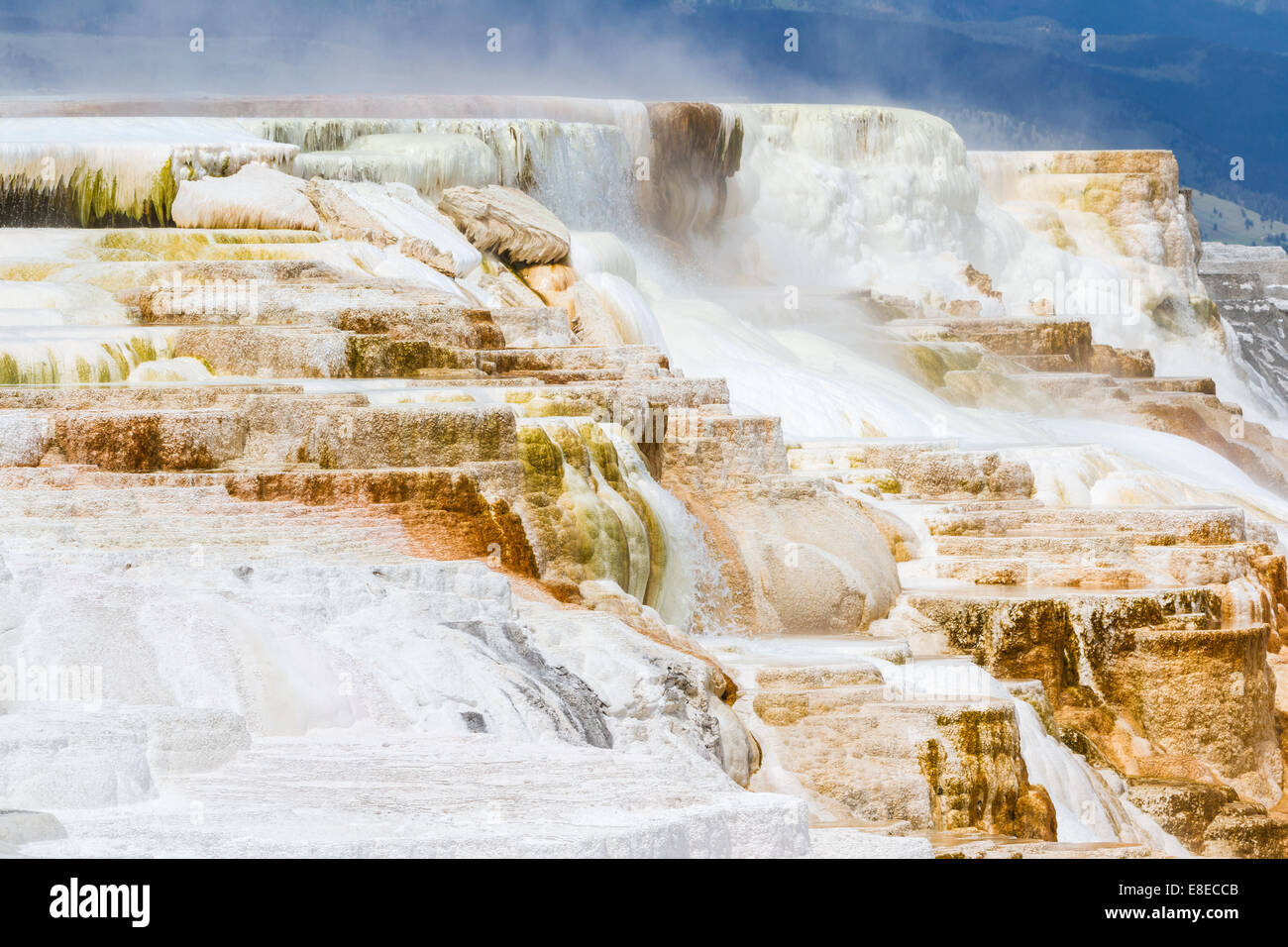hot springs in yellowstone national park. rich mineral water leaving ...