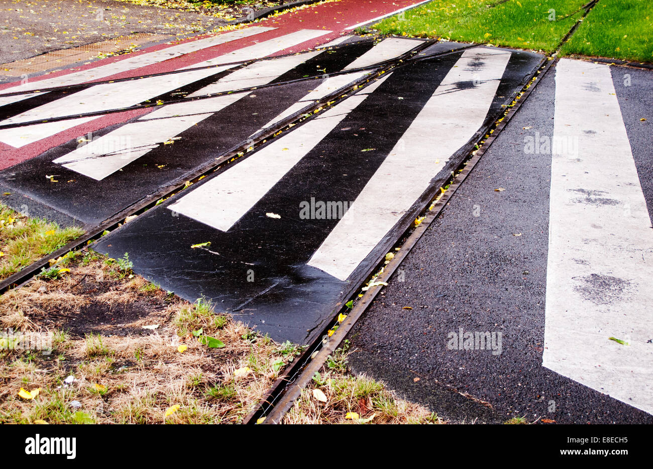 Crosswalk on tram way Stock Photo - Alamy