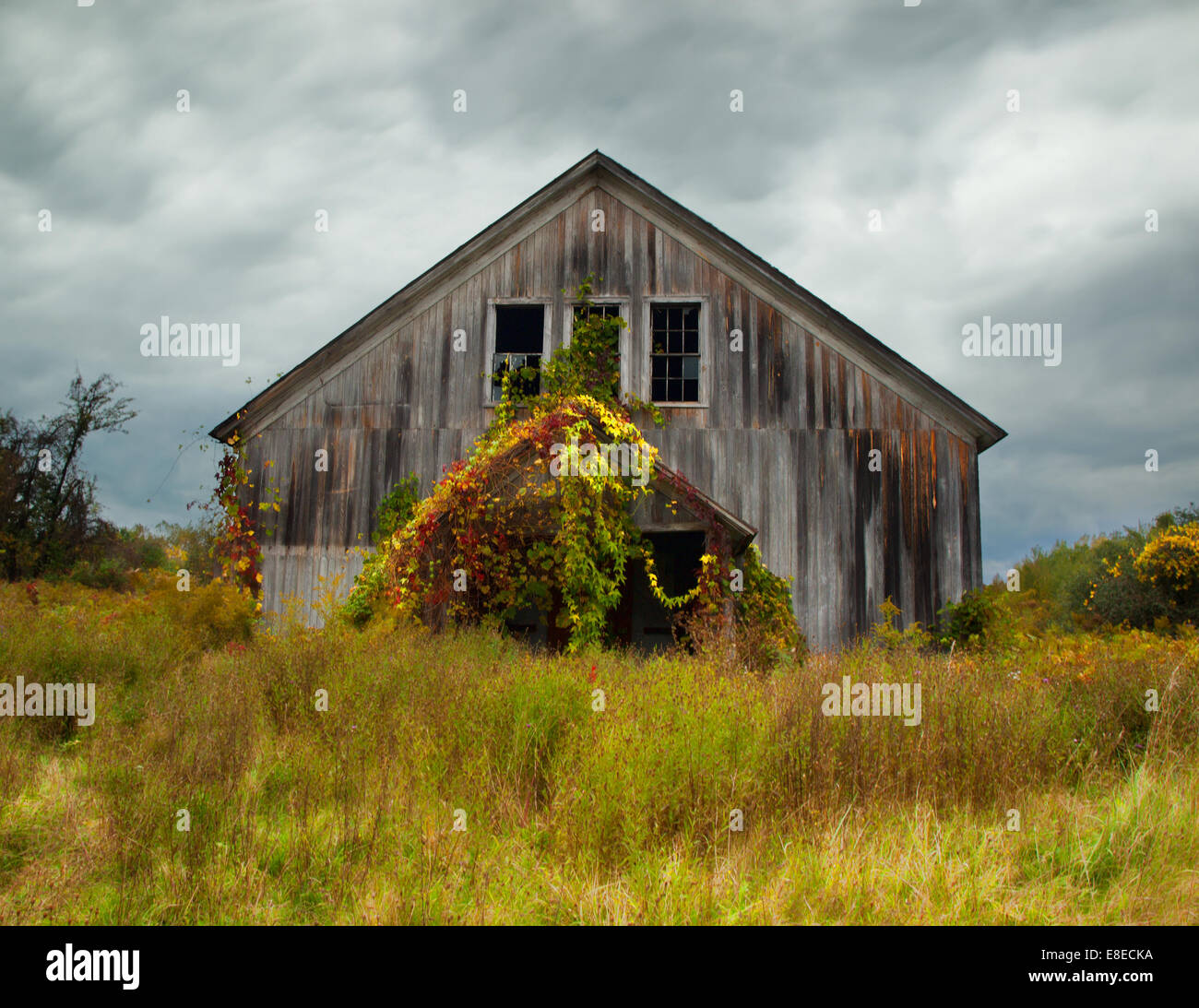 old time warn and weathered abandoned gray barn in autumn Stock Photo ...