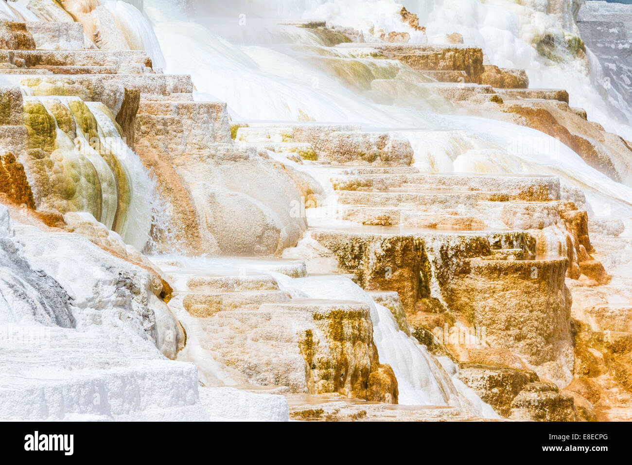 hot springs in yellowstone national park. rich mineral water leaving ...