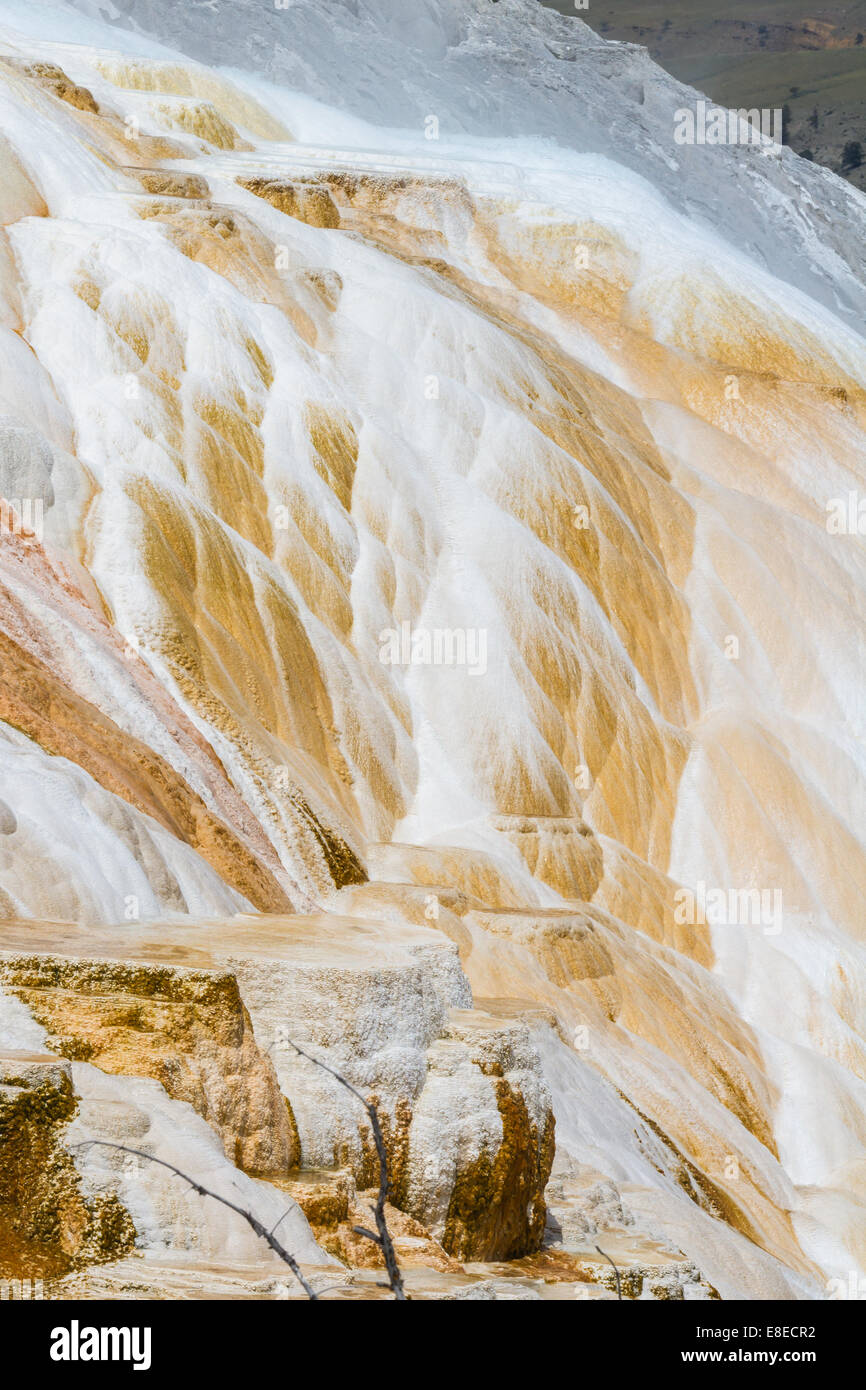 hot springs in yellowstone national park. rich mineral water leaving ...