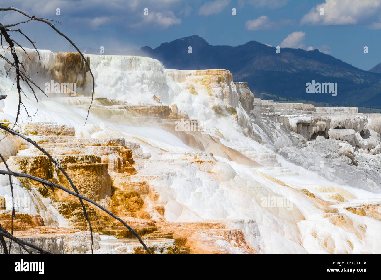 hot springs in yellowstone national park. rich mineral water leaving ...