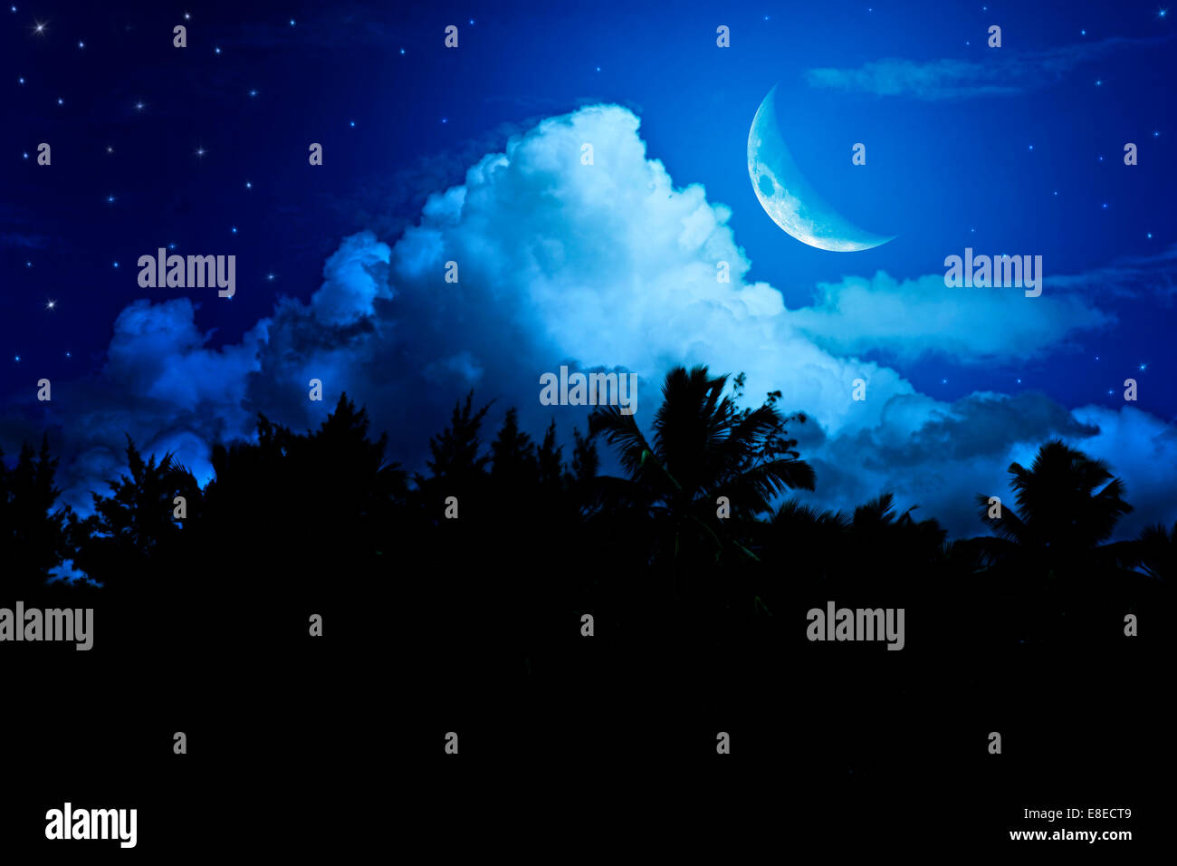 Night landscape with the moon, trees and clouds Stock Photo - Alamy