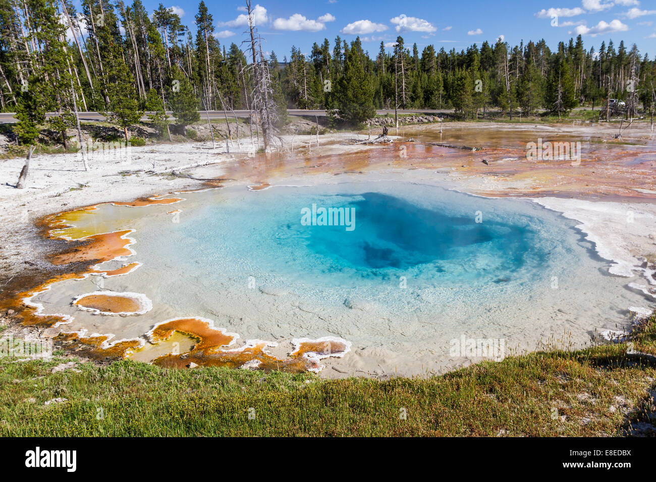 beautiful colorful hot springs in yellowstone national park Stock Photo ...