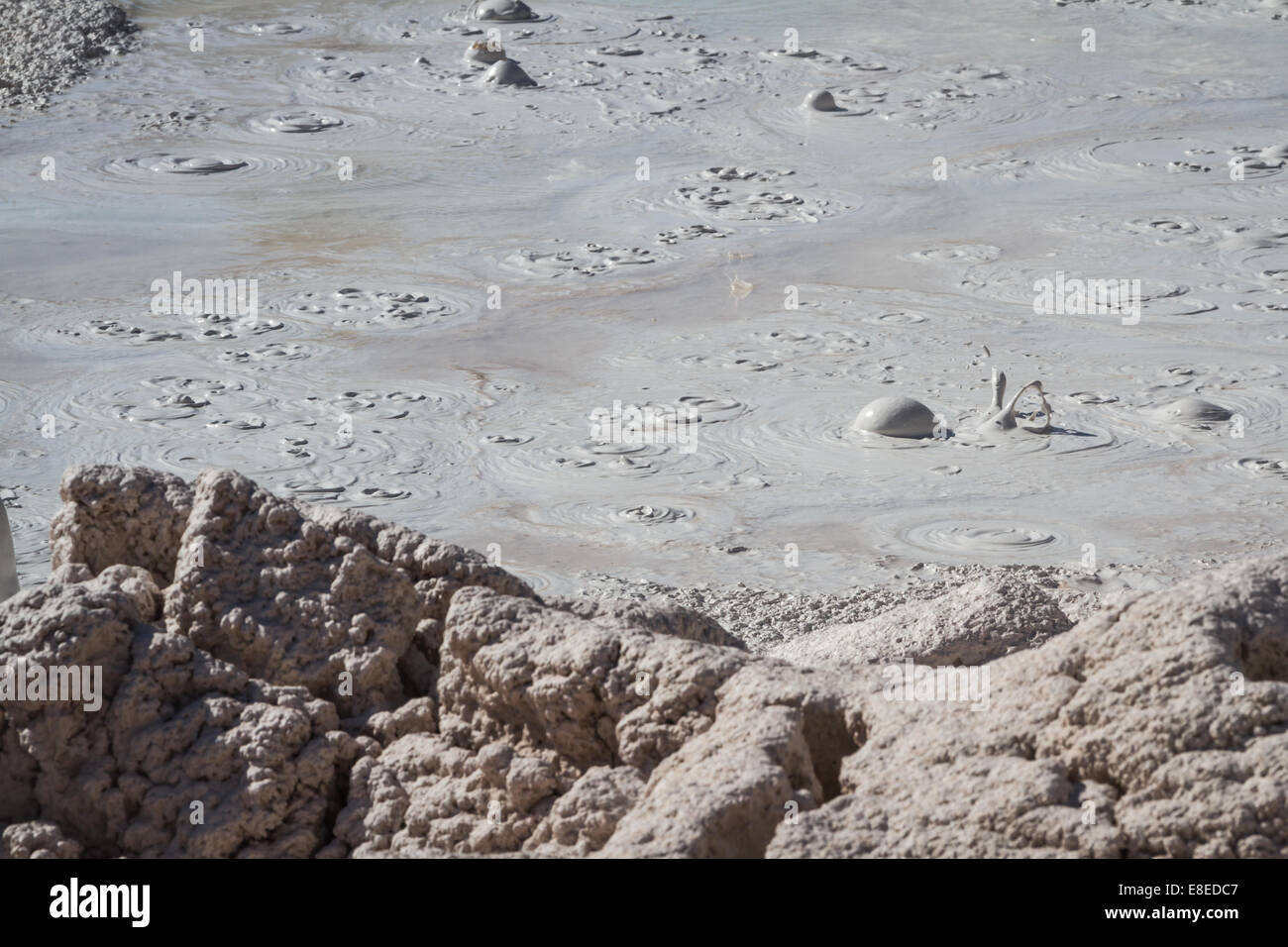 bubbles in the mud in the mud volcano at yellowstone national park ...