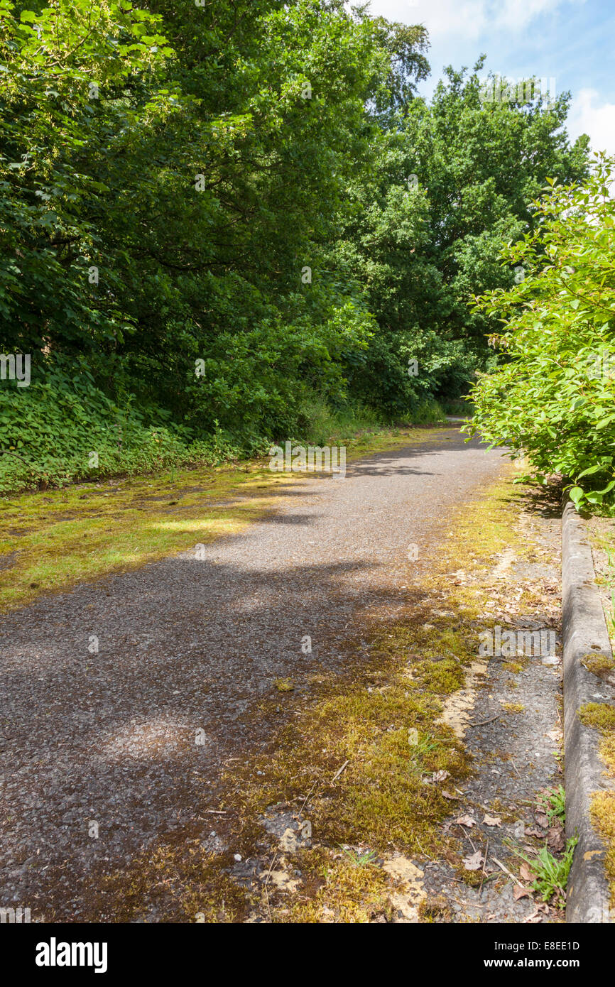 Overgrown road hi-res stock photography and images - Alamy