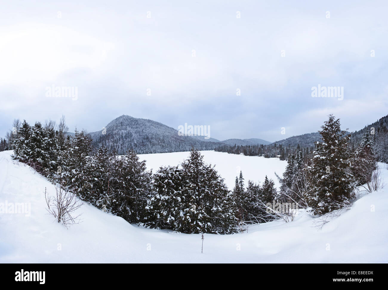 Gaspe lake hi-res stock photography and images - Alamy