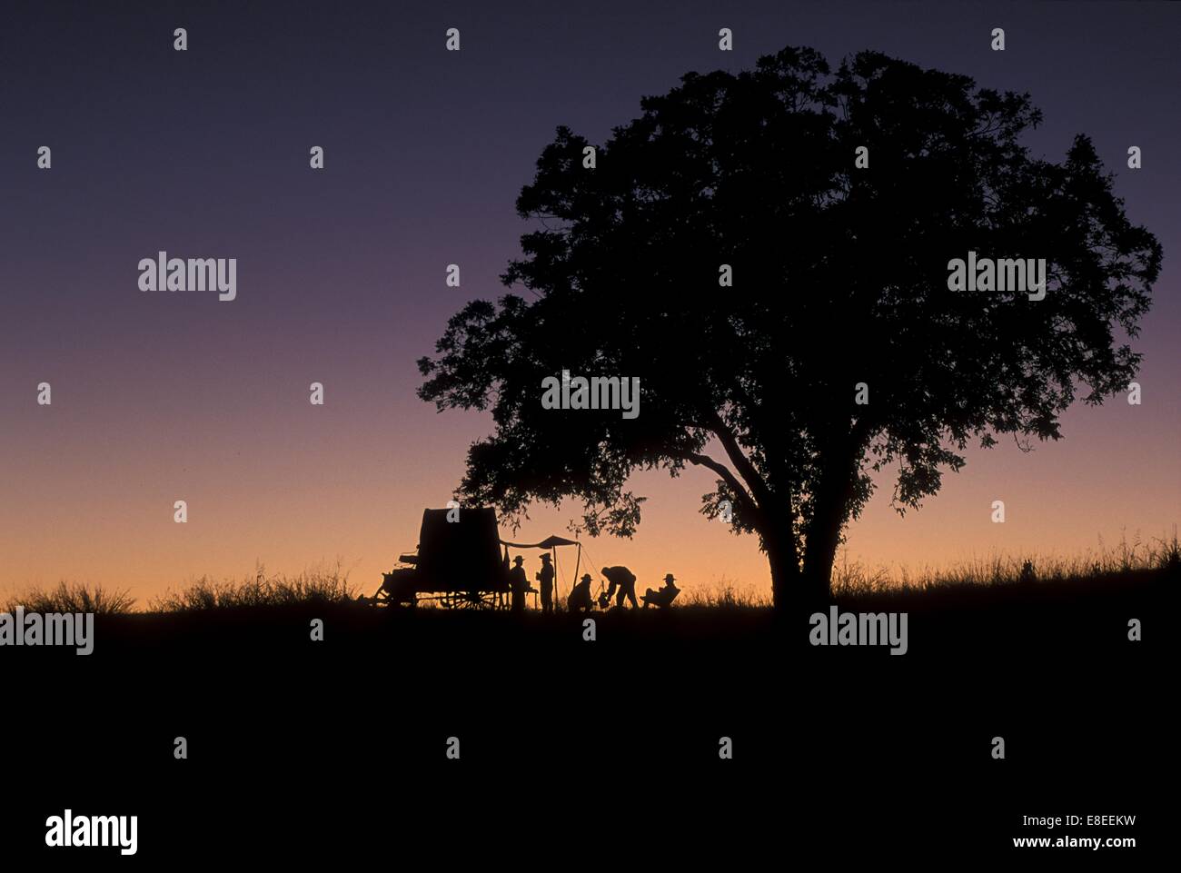Meal under tree hi-res stock photography and images - Alamy