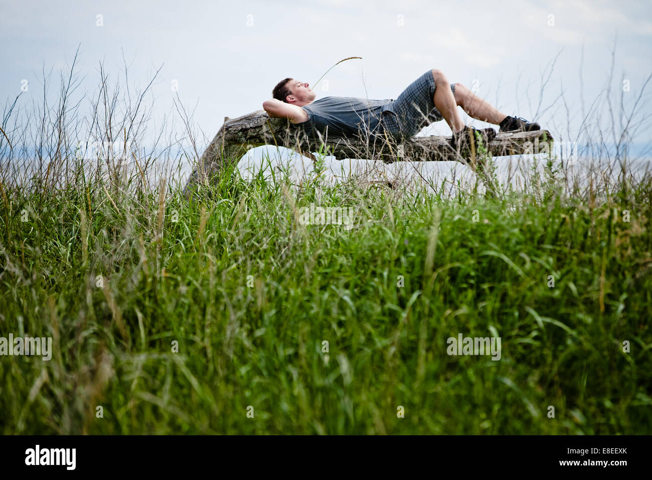Young Adult Relaxing in Nature and Lying on a Tree Peacefully Stock ...