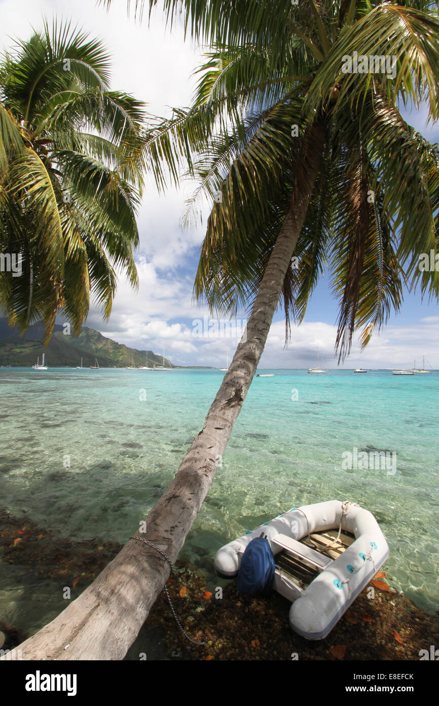 Moorea reef mountains hi-res stock photography and images - Alamy