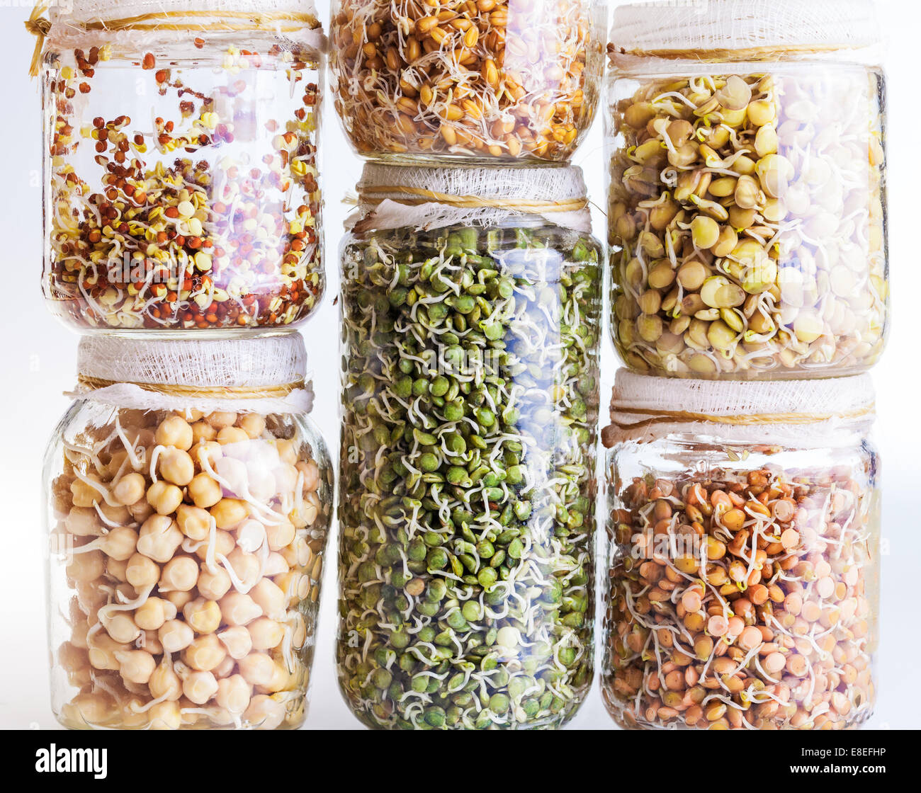 Sprouting seeds hi-res stock photography and images - Alamy