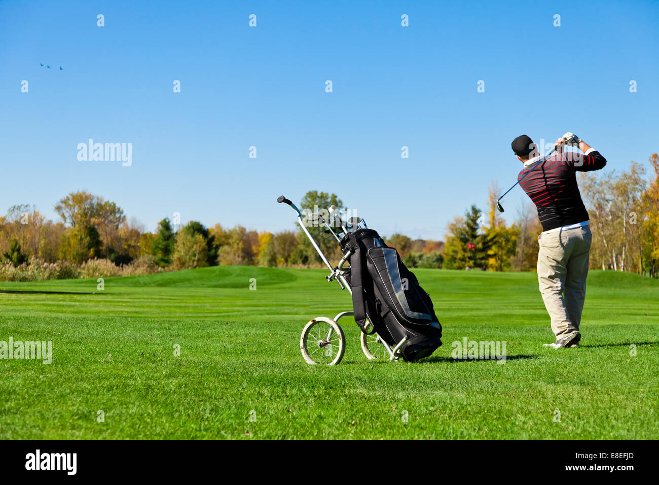 Young sportsman playing golf outdoors hi-res stock photography and ...
