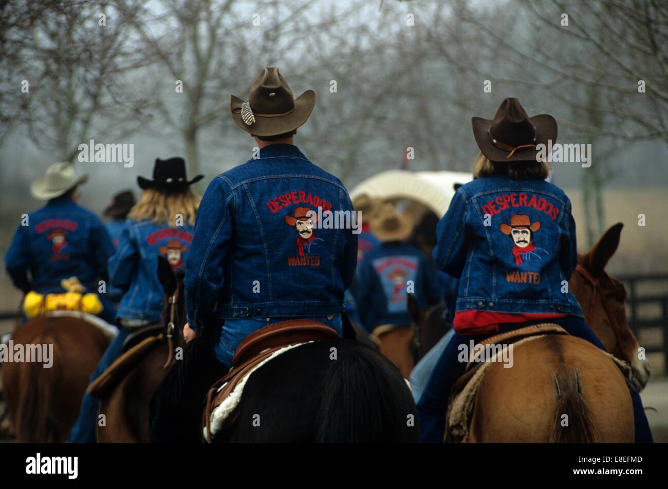 group riding in a line at a trail ride Stock Photo - Alamy