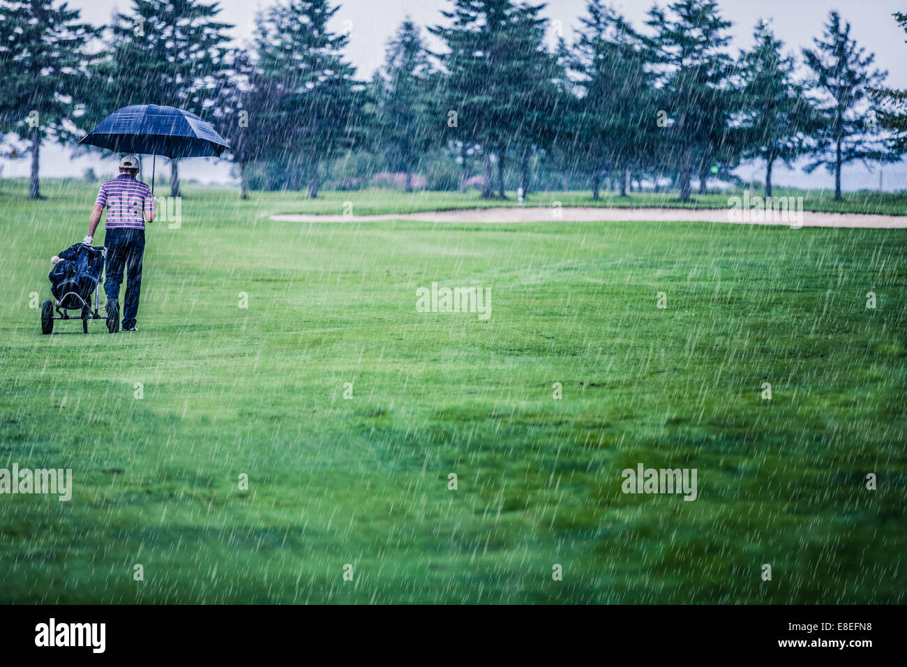 Golfer on a Rainy Day Leaving the Golf Course (the game is annulled ...