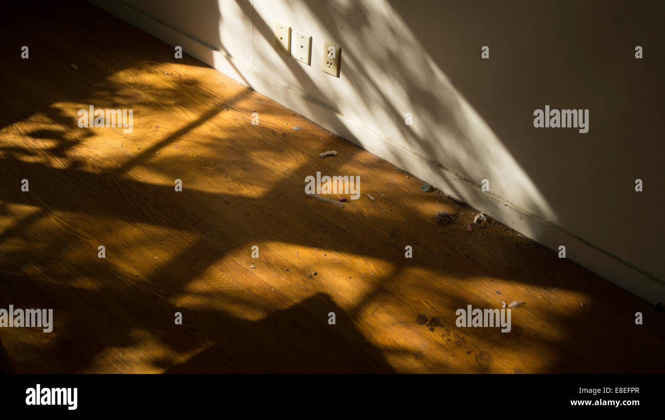 Shadow on wood floor Stock Photo - Alamy