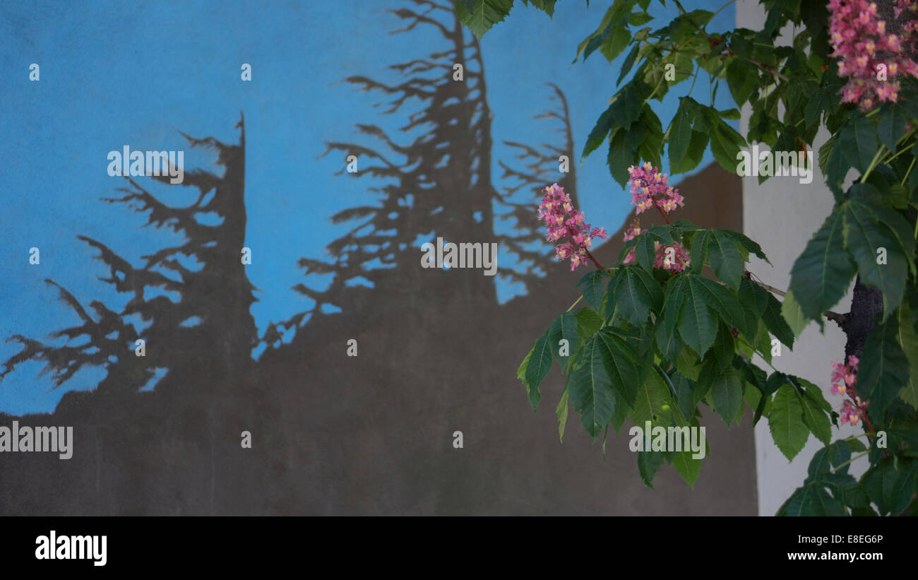 Tree mural hi-res stock photography and images - Alamy