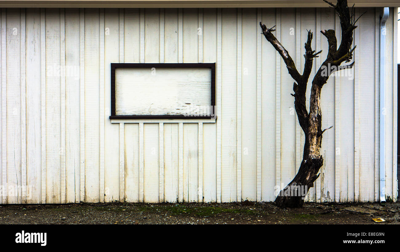 Burnt tree in front of building Stock Photo - Alamy