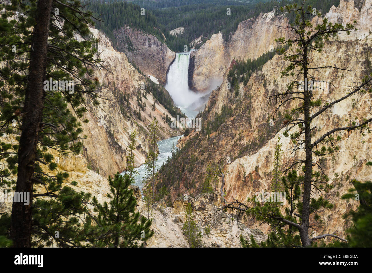 Yellowstone cliff walls hi-res stock photography and images - Alamy