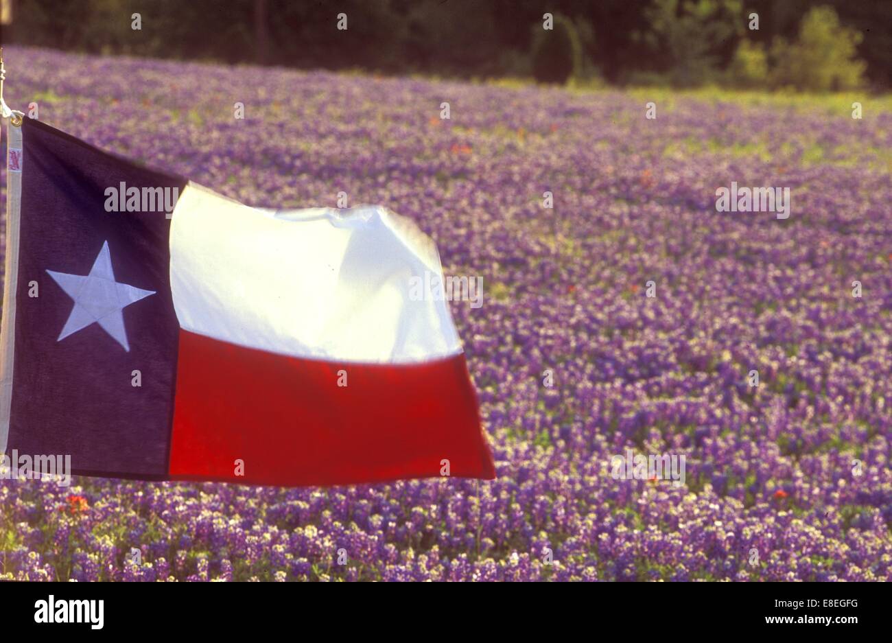 Texas flag flying in the wind hi-res stock photography and images - Alamy