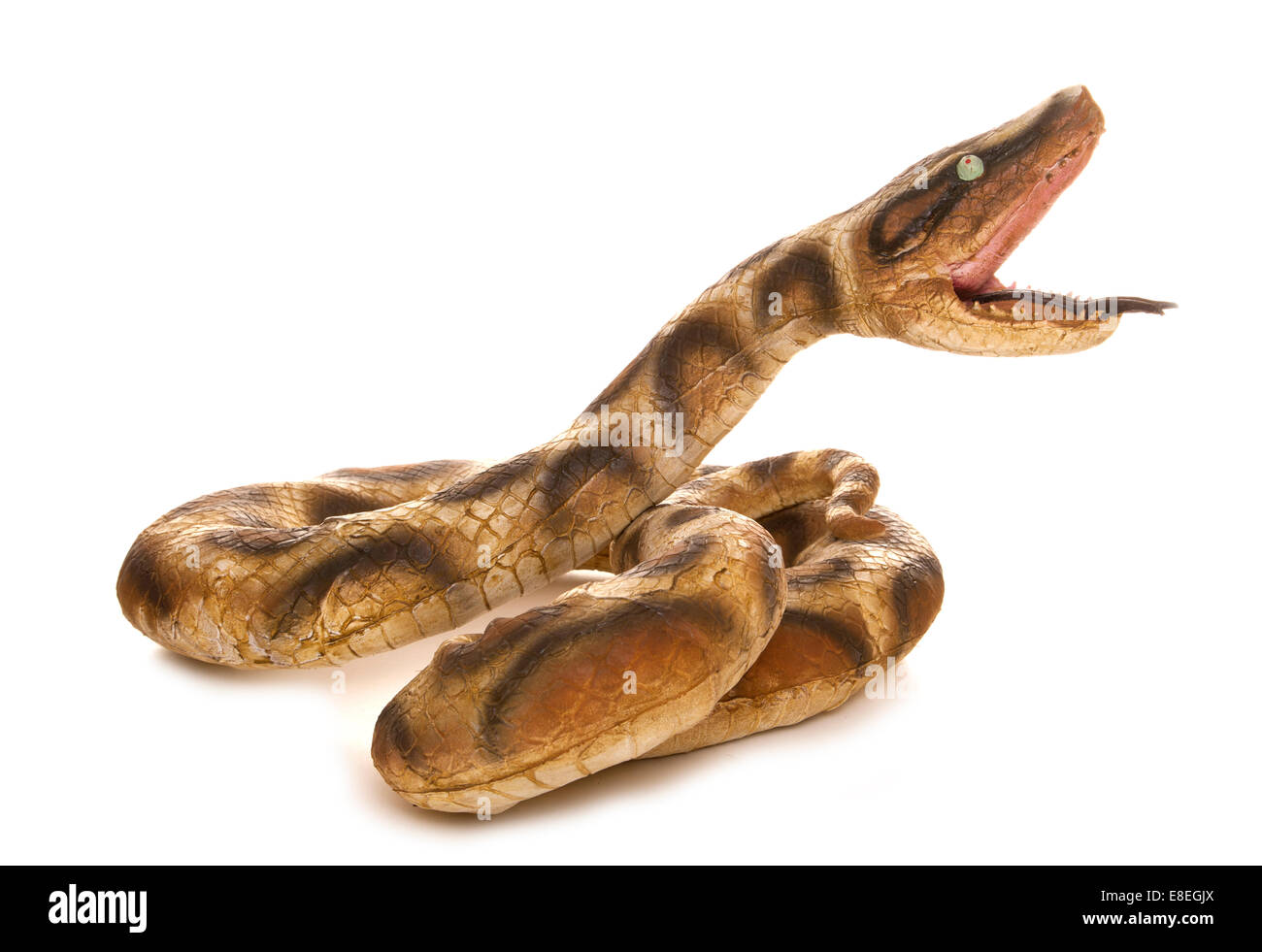 toy snake studio cut out Stock Photo - Alamy