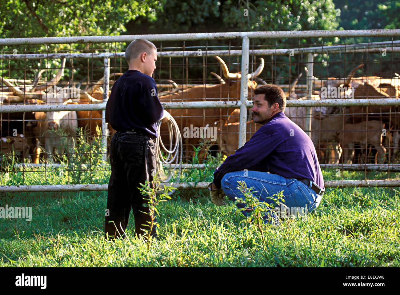 Man and boy, with lariat in hand, converse outside cattle corral Stock ...