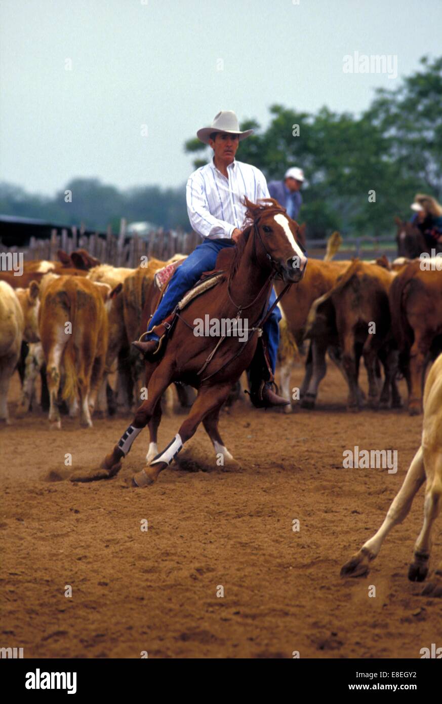 Life on ranch hi-res stock photography and images - Alamy